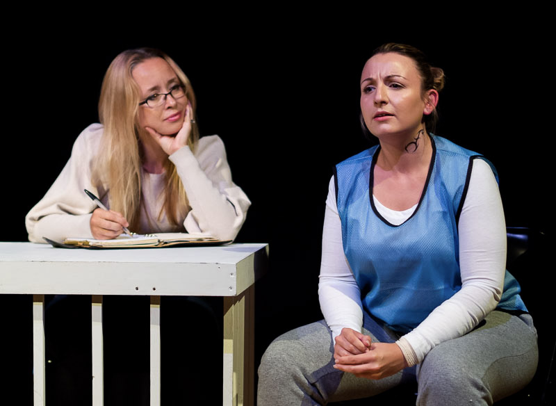 The Long Road | Mark Aspen