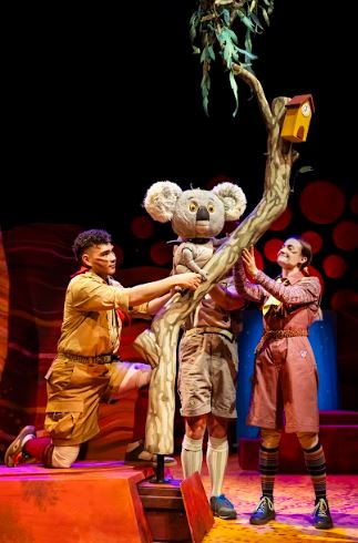 The Koala Who Could | Mark Aspen